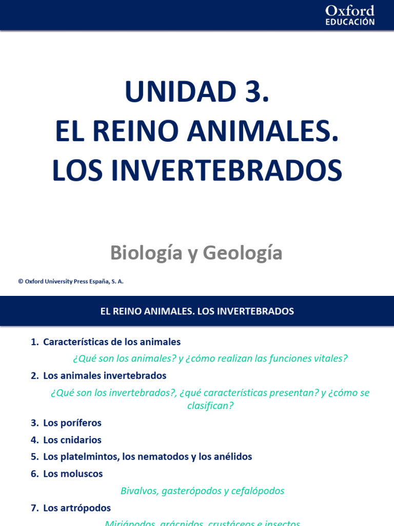 Invertebrados: Características y Clasificación | PDF | Moluscos ...