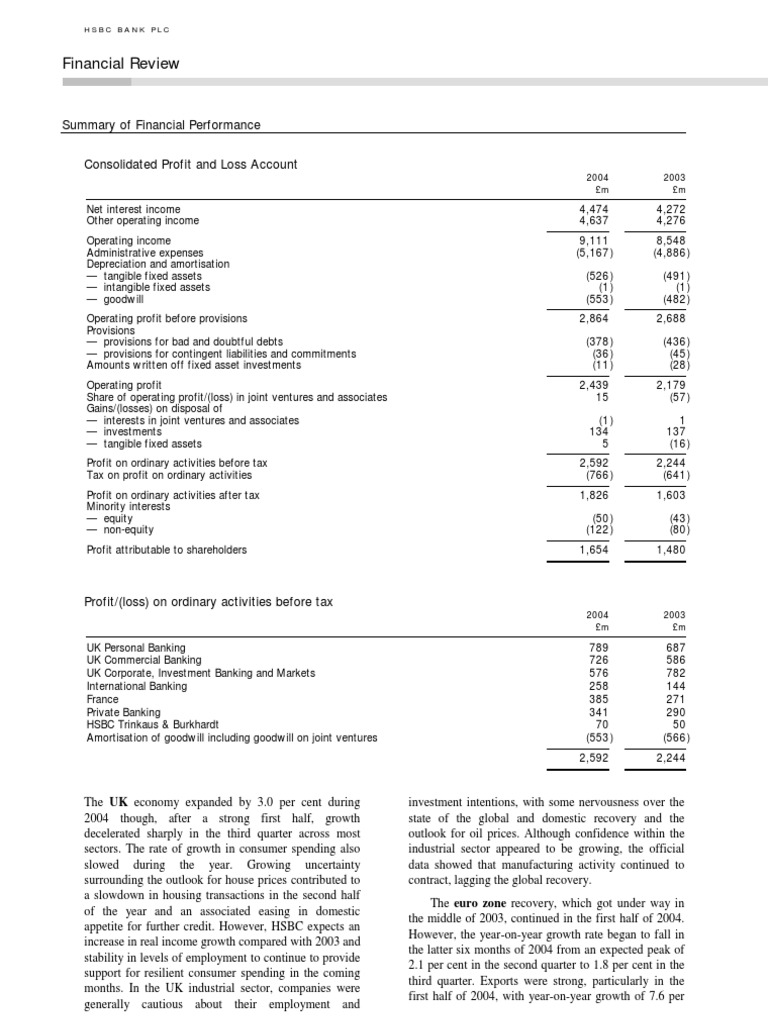 Financial Review: Summary of Financial Performance | PDF | Capital ...