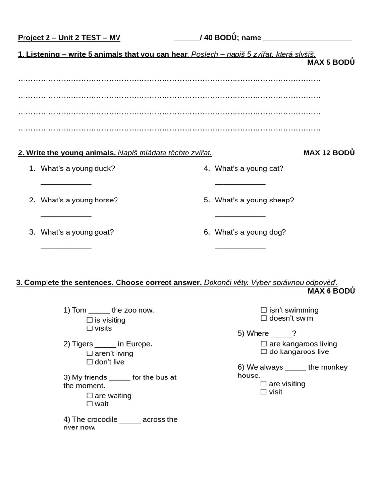 English Language Test for Kids | PDF