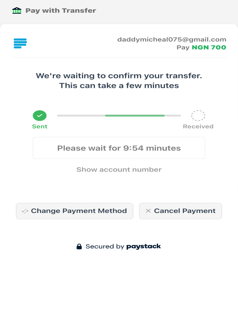 Paystack Checkout | PDF
