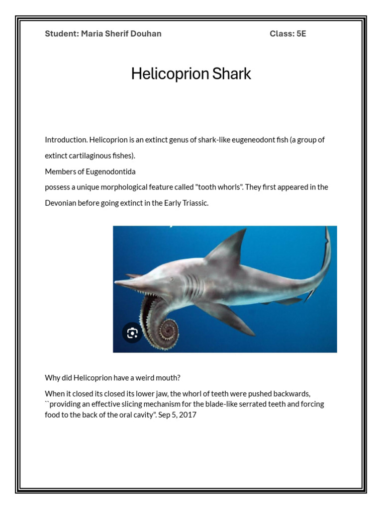 Helicoprion Shark | PDF