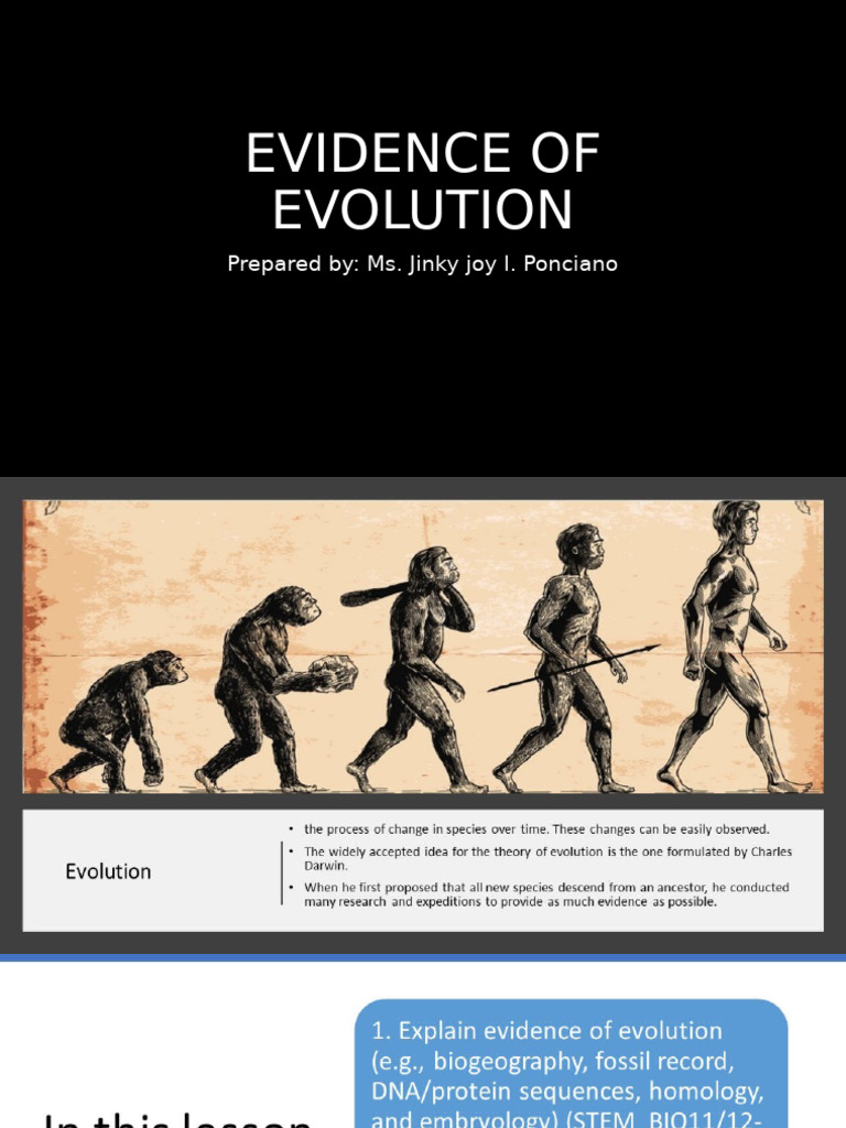 Evidence of Evolution Explained | PDF