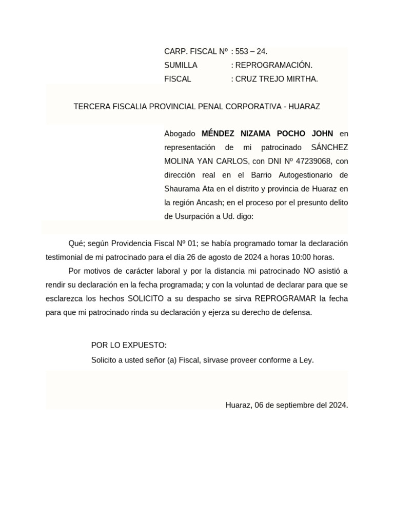 Escrito - 03 Reprogramación | PDF