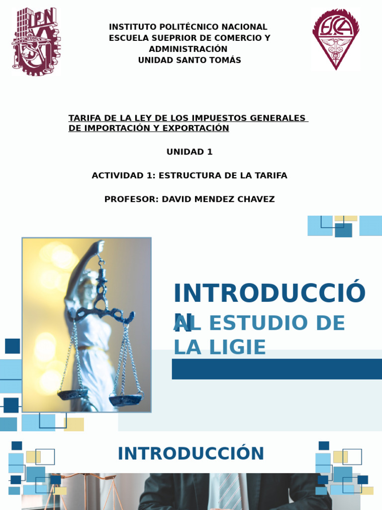 Estructura de la LIGIE en Comercio Exterior | PDF | El comercio internacional | Arancel