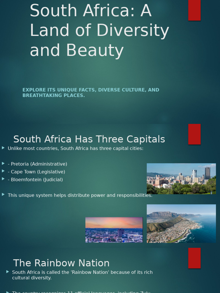 South Africa Presentation | PDF