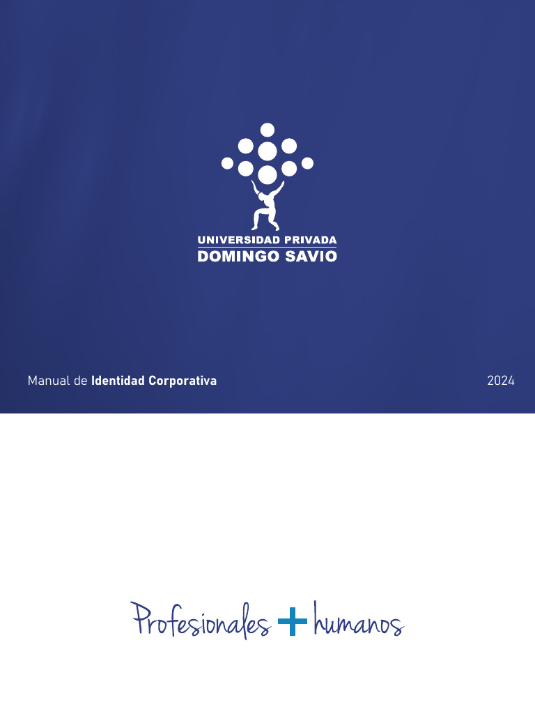 Manual UPDS 2024 | PDF | Tecnicas artisticas | Color