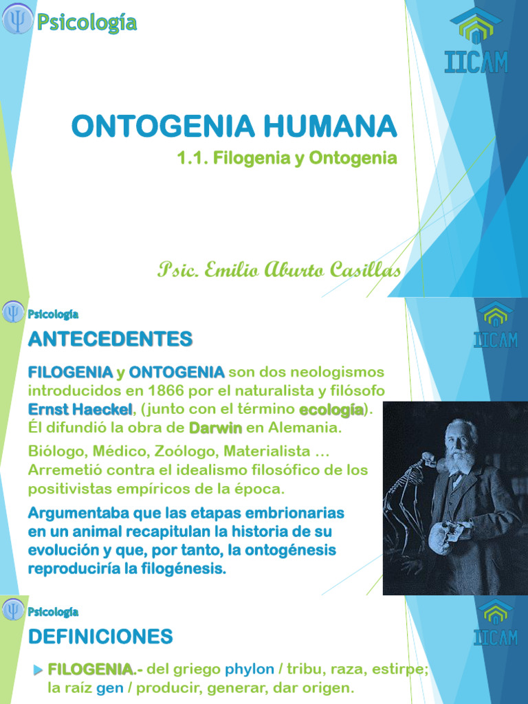 Ontogenia Humana: Desarrollo Embrionario | PDF | Biología | Conceptos ...