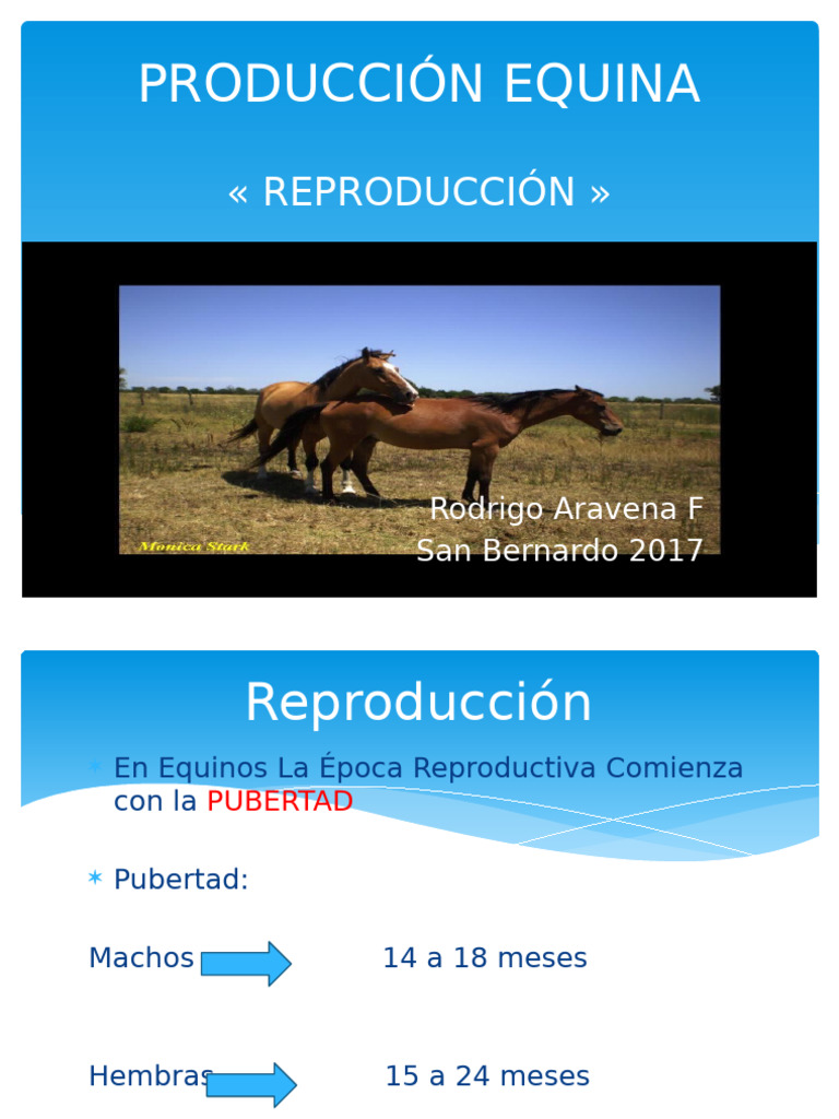 Produccion Equina Reproduccion - Tagged | PDF | Caballos | Cortejo