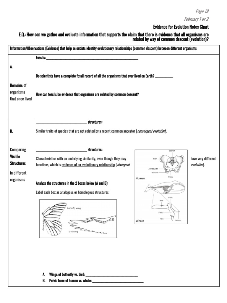 Evidence For Evolution Student Notes Chart | PDF | Evolution | Homology ...