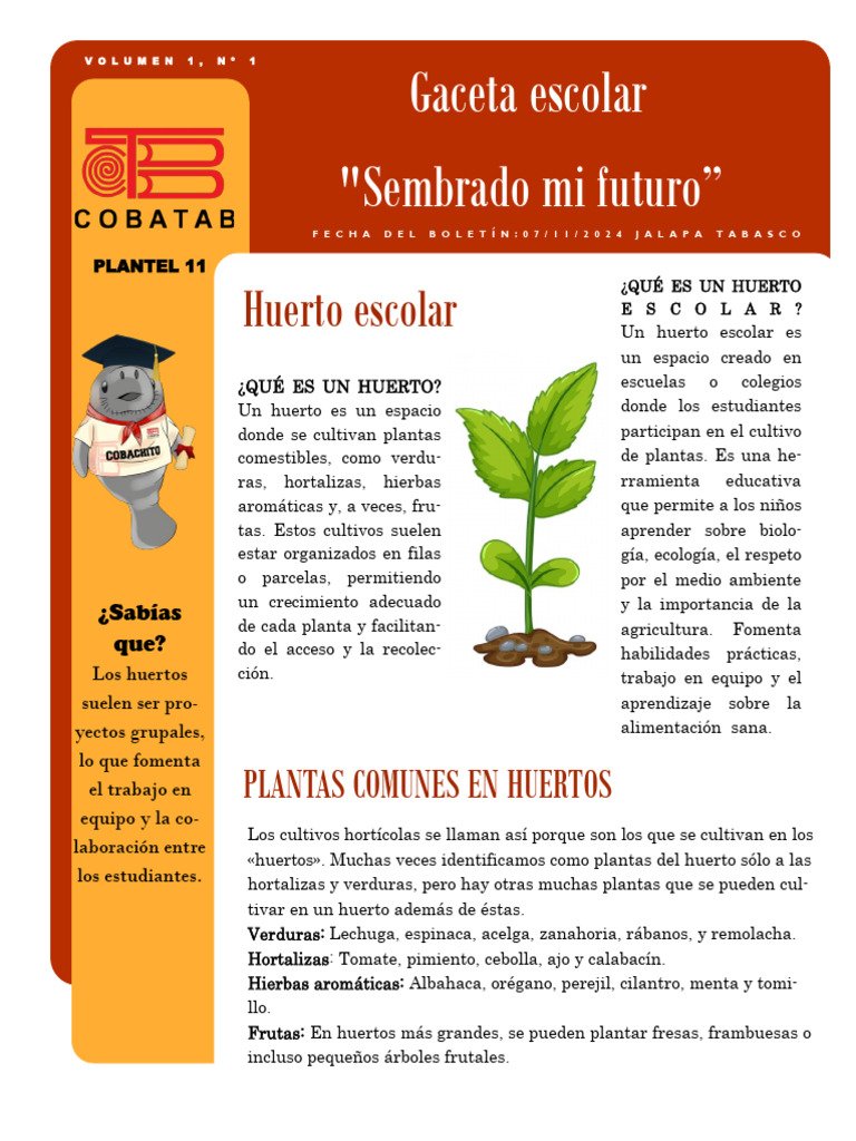 GACETA ESCOLAR 1Bm - E1 | PDF | Vegetales | Huerta