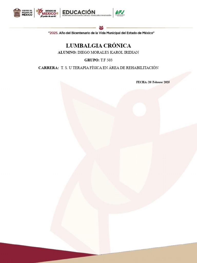 Lumbalgia Crónica: Diagnóstico y Tratamiento | PDF | Dolor lumbar | La ...