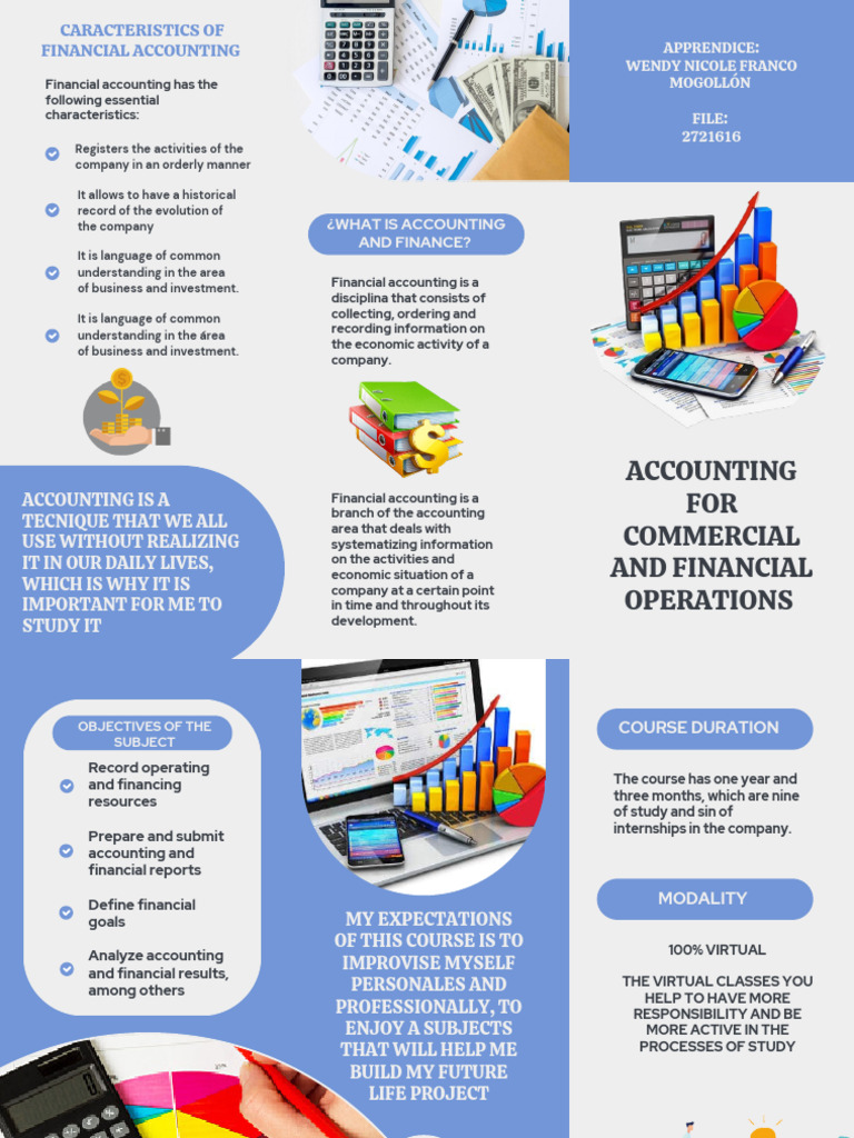 Understanding Financial Accounting Basics | PDF