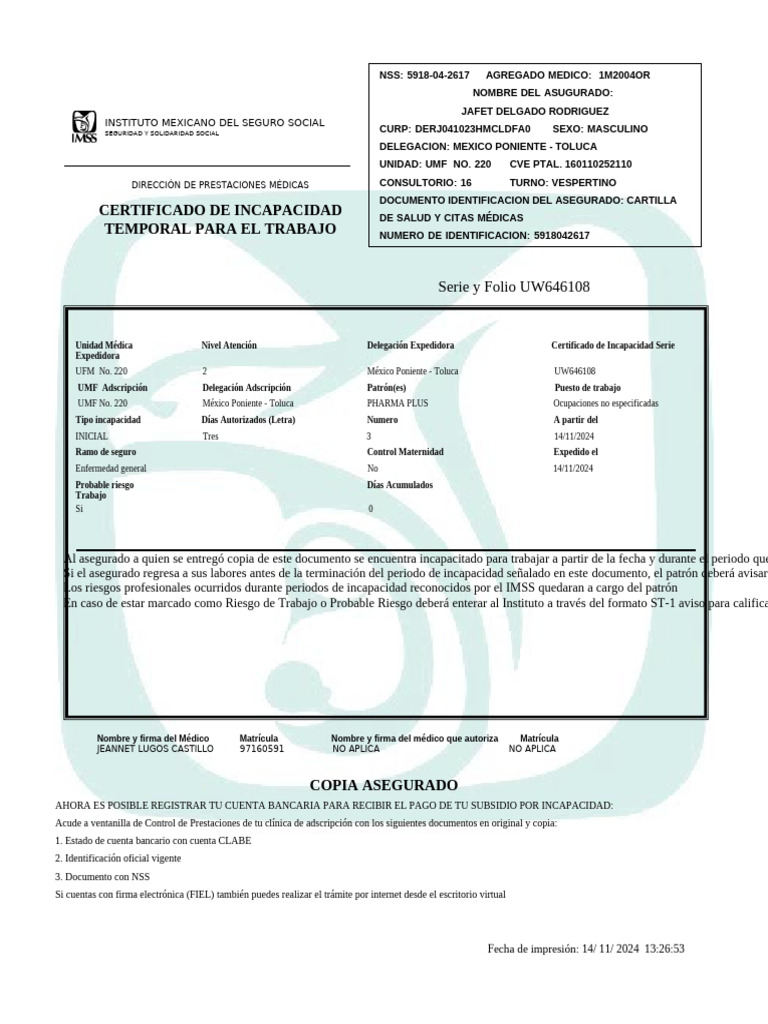 Copia de Formato Incapacidad Imss Editable Word | PDF