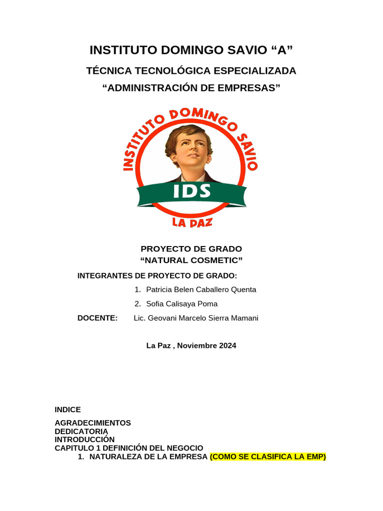 Indice 2024 - Proyecto - Intituto Domingo Savio | PDF | Producto (Negocio) | Mercado (economía)