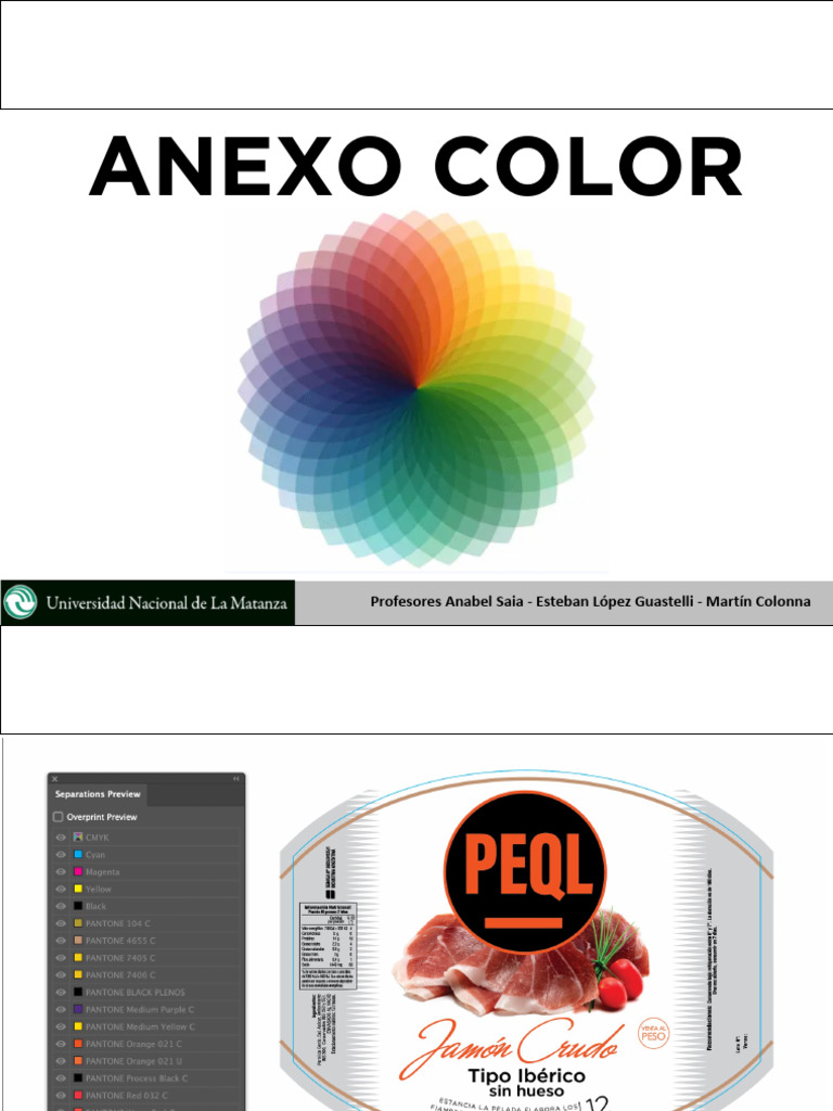 Clase 4 - Anexo Color | PDF
