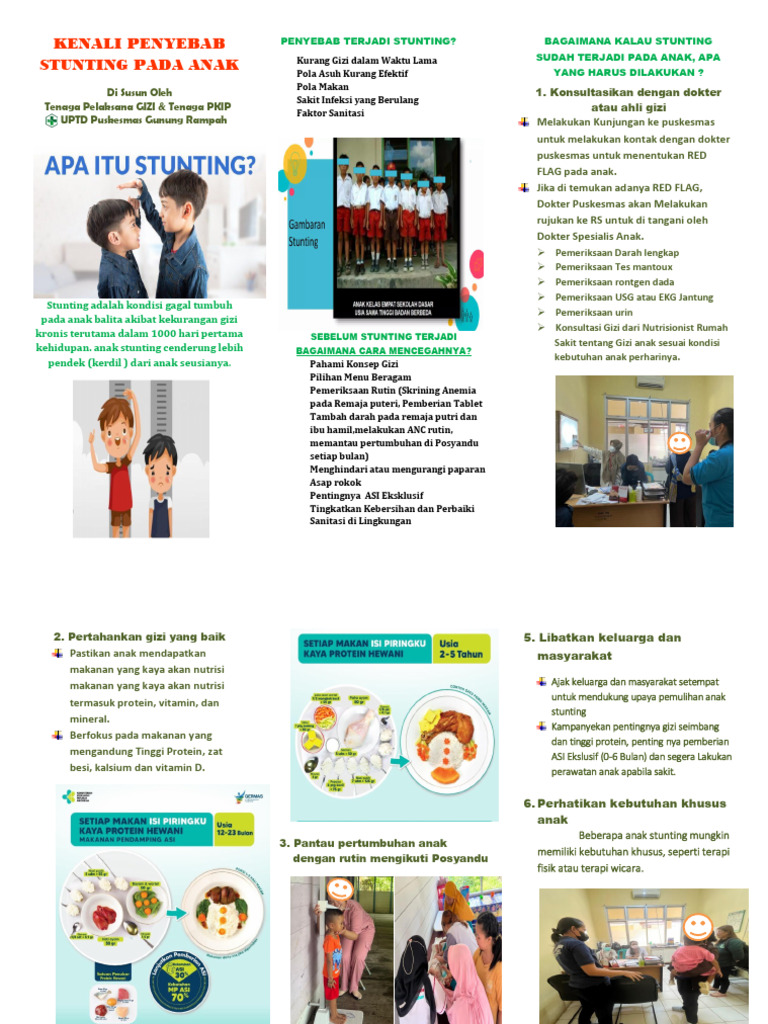 LEAFLET STUNTING TPG PKM GNR | PDF