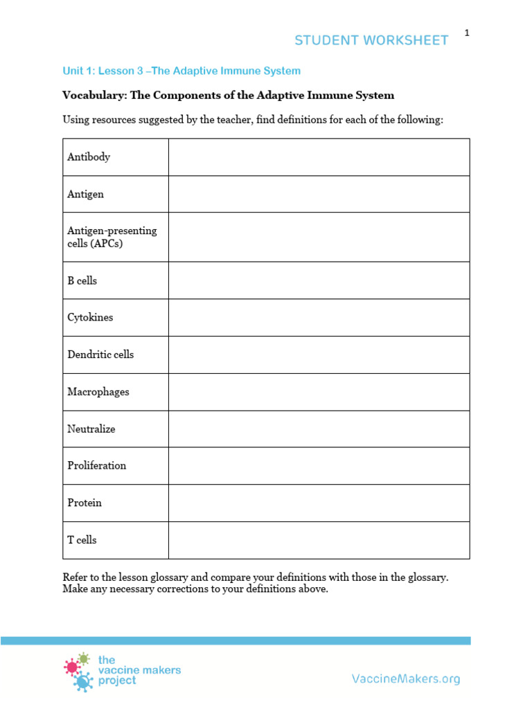 Immune System Vocabulary Worksheet | PDF