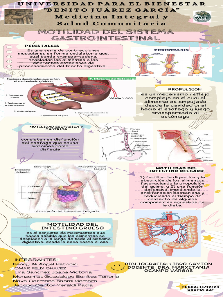 Motilidad Del Sistema Gastrointestinal | PDF | Tracto gastrointestinal ...