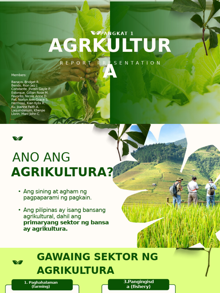Green Gradient Agriculture Report Presentation | PDF
