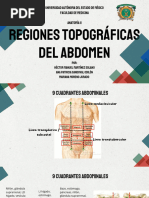 Anatomía de la Región Inguinocrural | PDF | Abdomen | Anatomía