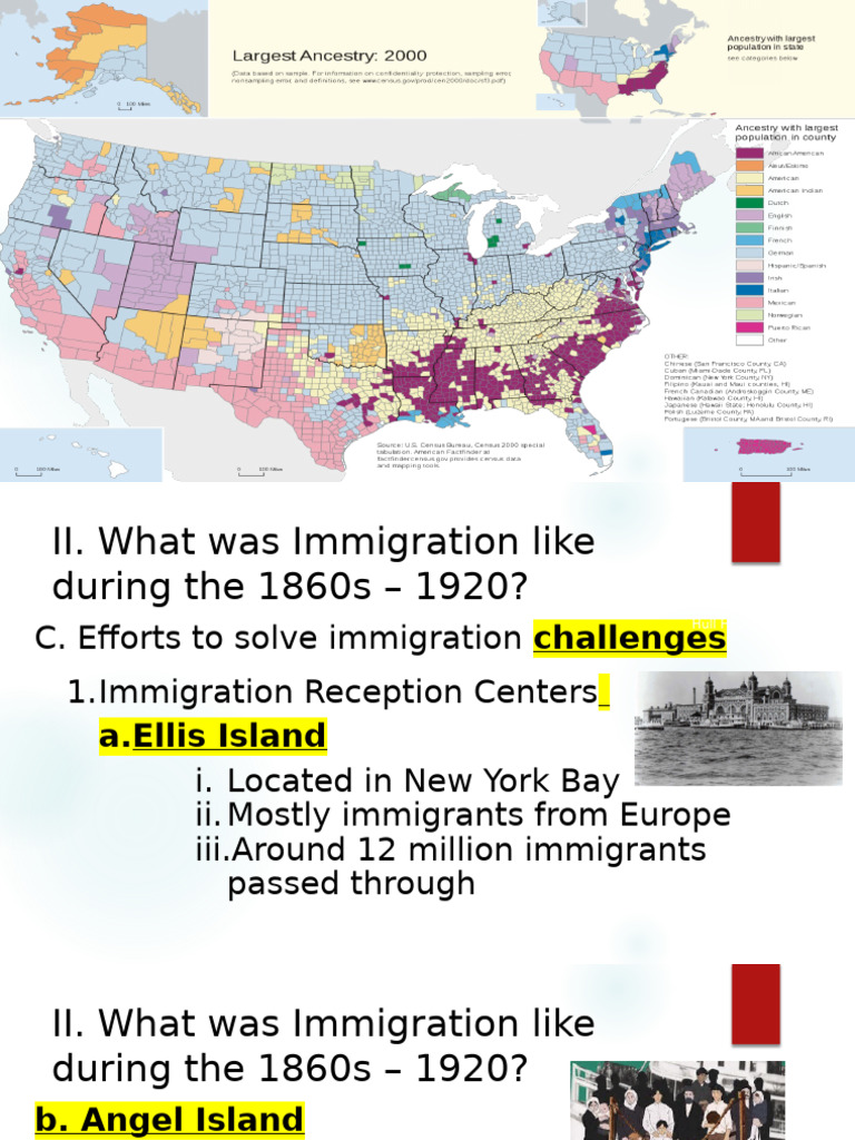 Immigration Challenges in Early 20th Century | PDF | The United States