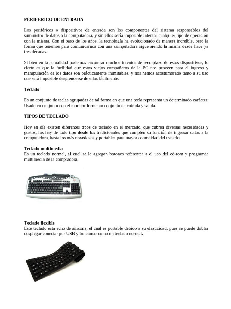 Periferico de Entrada | PDF | Monitor de computadora | Periférico