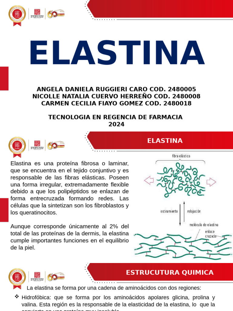 Elastina | PDF | Piel | Aminoácidos