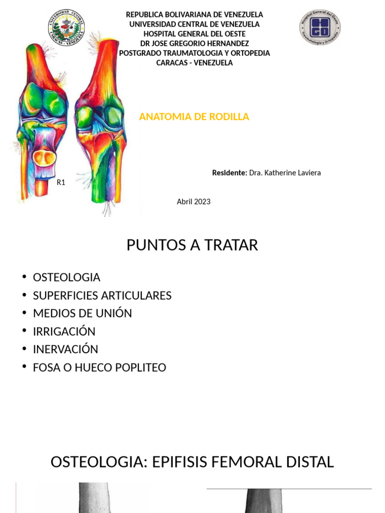 Anatomía de la Rodilla: Guía Completa | PDF