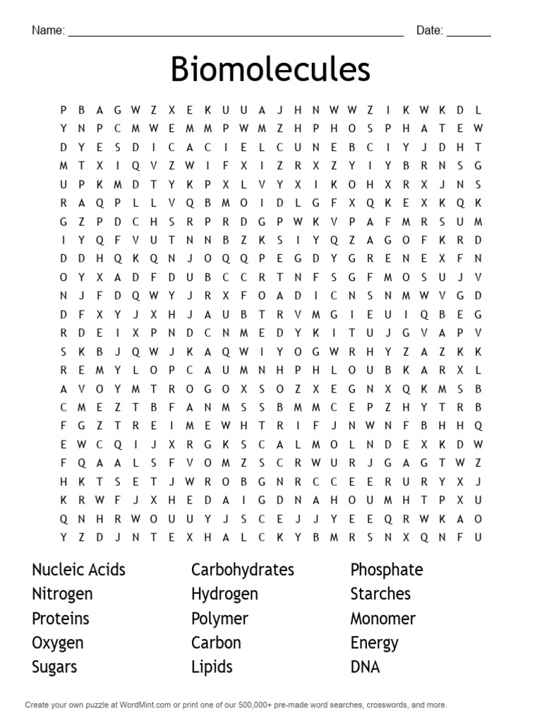 Biomolecules Wordsearch | PDF | Carbohydrates | Molecular Biology