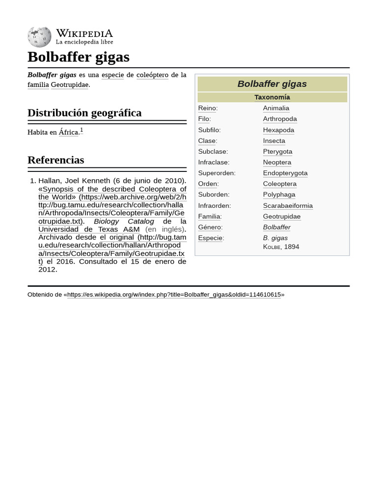 Bolbaffer Gigas | PDF