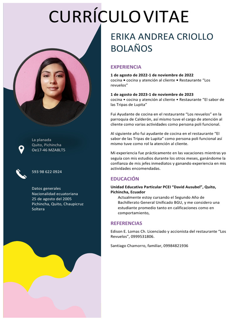 CV Erika | PDF