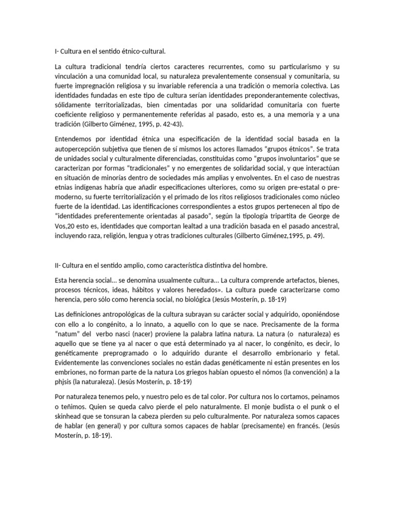 Identidad y Cultura: Perspectivas Étnicas | PDF | Etnicidad | Educación ...