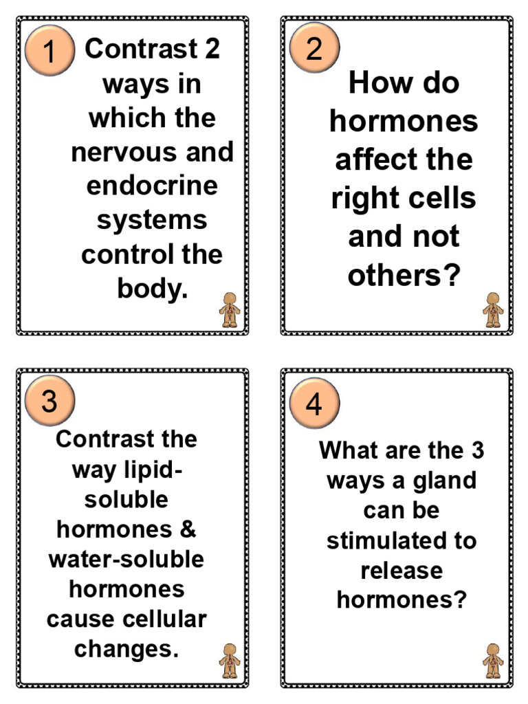 Editable Endocrine System Task Cards | PDF
