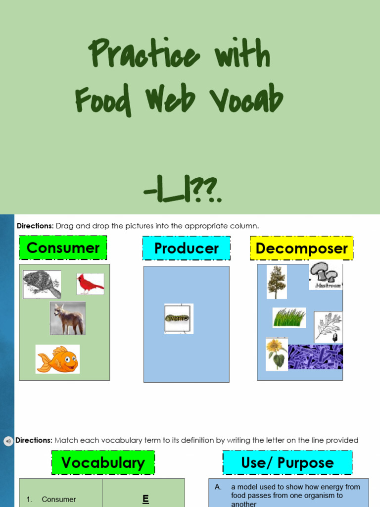 Practice With Food Web Vocab | PDF | Food Web | Foods