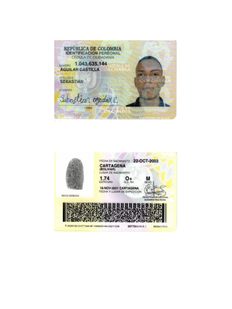 8. Documento de Identidad | PDF