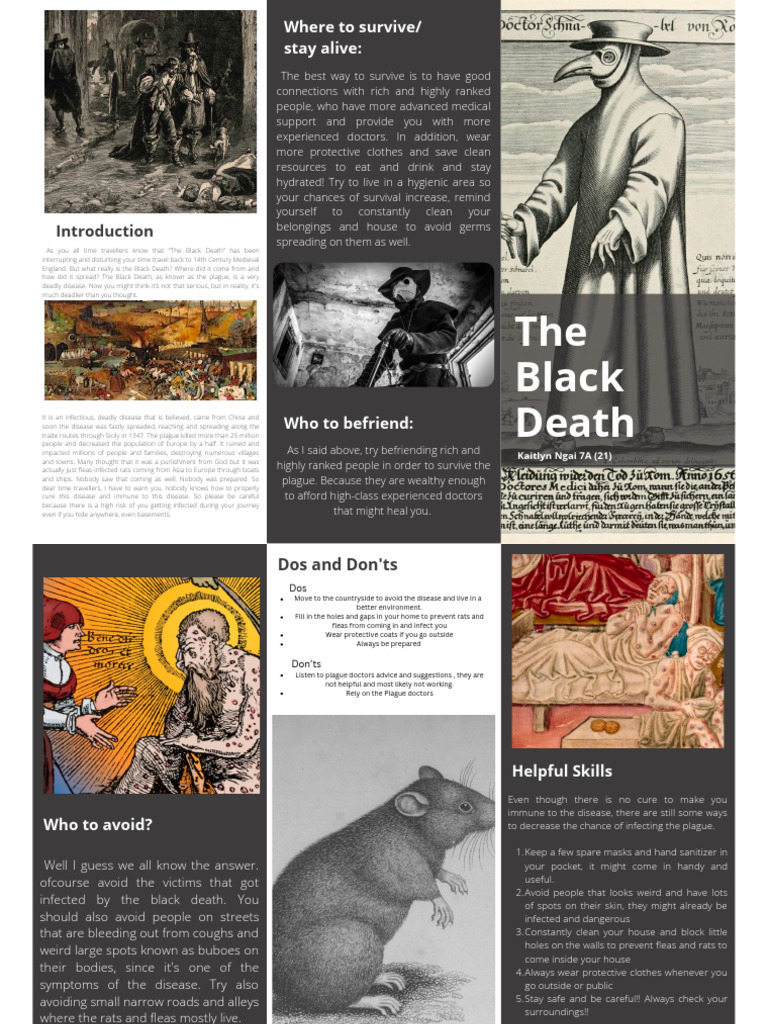 History Leaflet Homework | PDF | Black Death | Infection