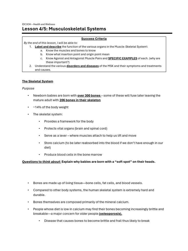 Musculoskeletal System Overview | PDF | Human Body | Skeleton