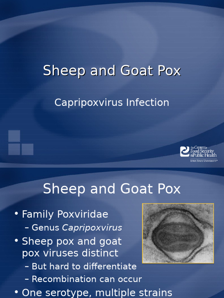 Lecture 19 Sheep and Goat Pox | PDF | Smallpox | Infection