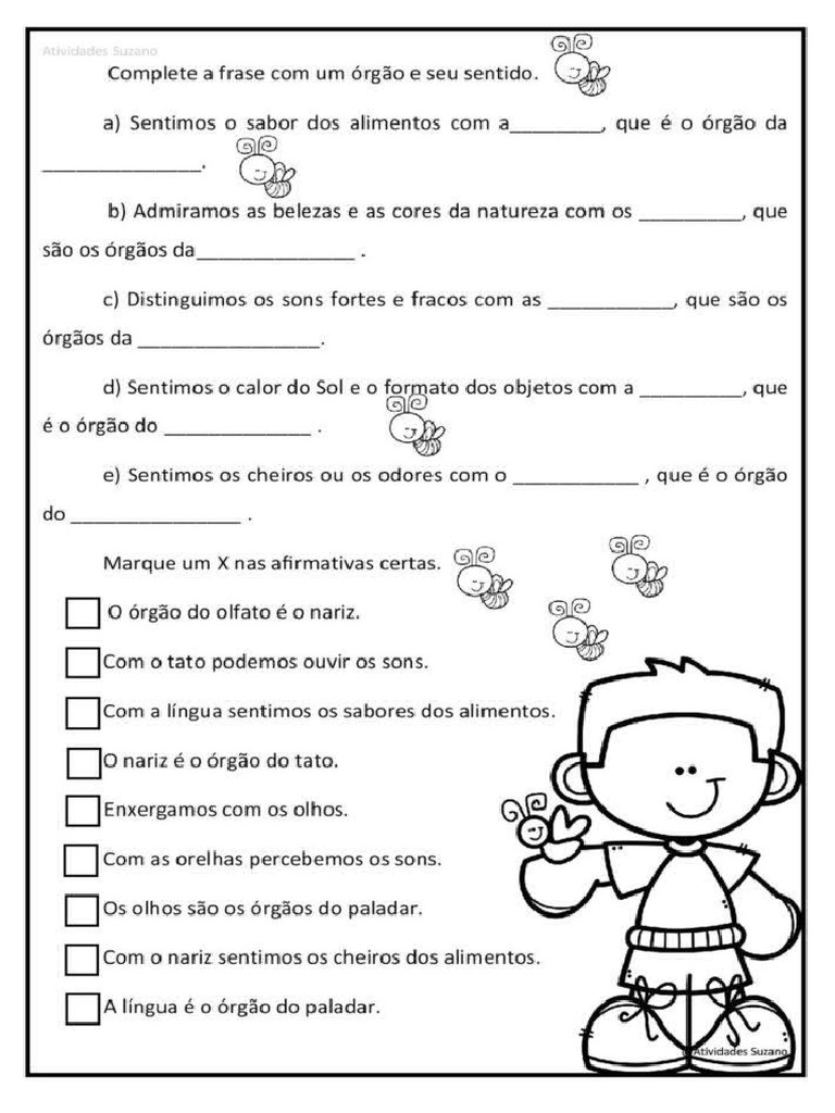 Ativi Orgãos Dos Sentidos | PDF