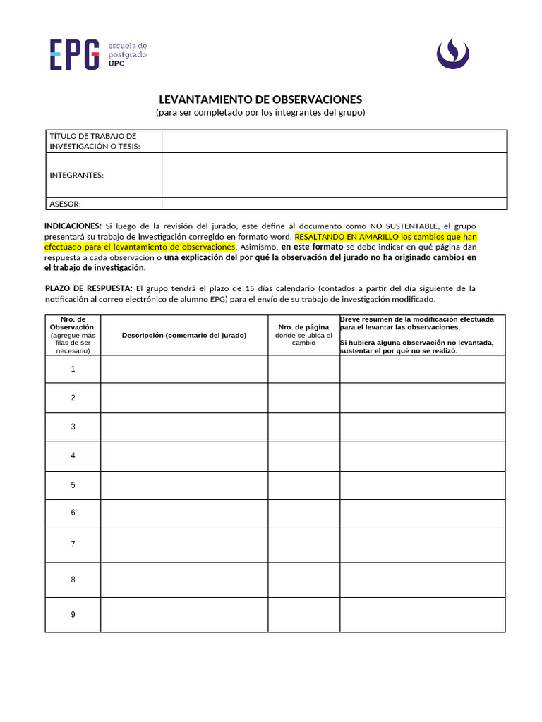 Formato Levantamiento de Observaciones TI EPG | PDF
