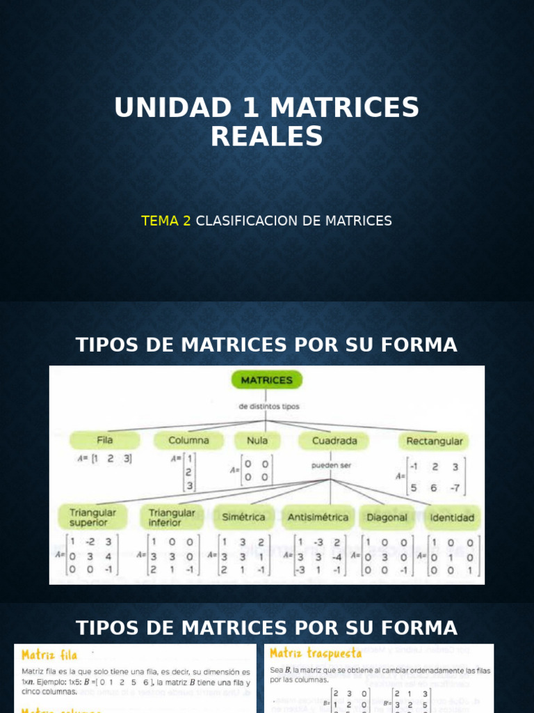 UNIDAD 1 MATRICES REALES TEMA 2 CLASIFICACION | PDF