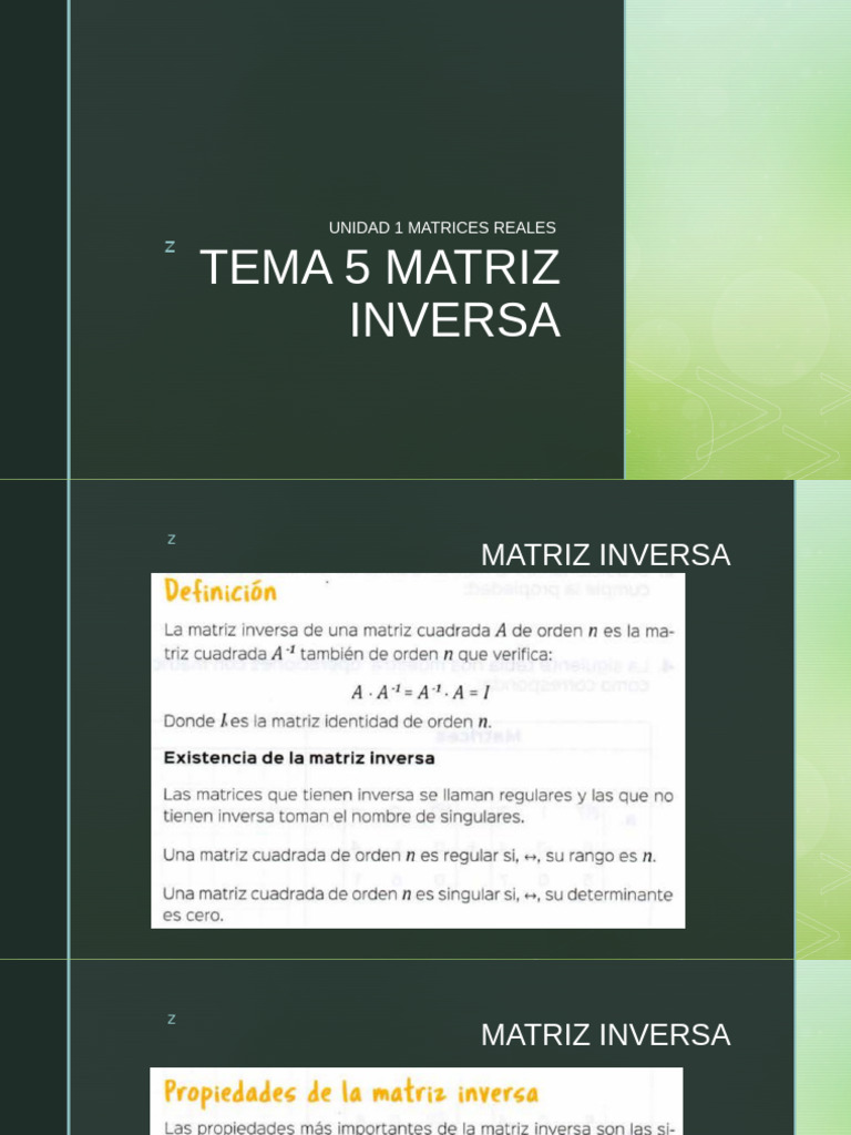 Unidad 1 Matrices Reales Tema 5 Matriz Inversa | PDF