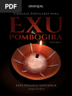100 Receitas de Garrafadas Medicinais Indigenas | PDF