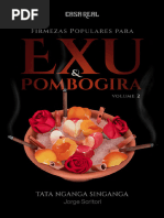 100 Receitas de Garrafadas Medicinais Indigenas | PDF