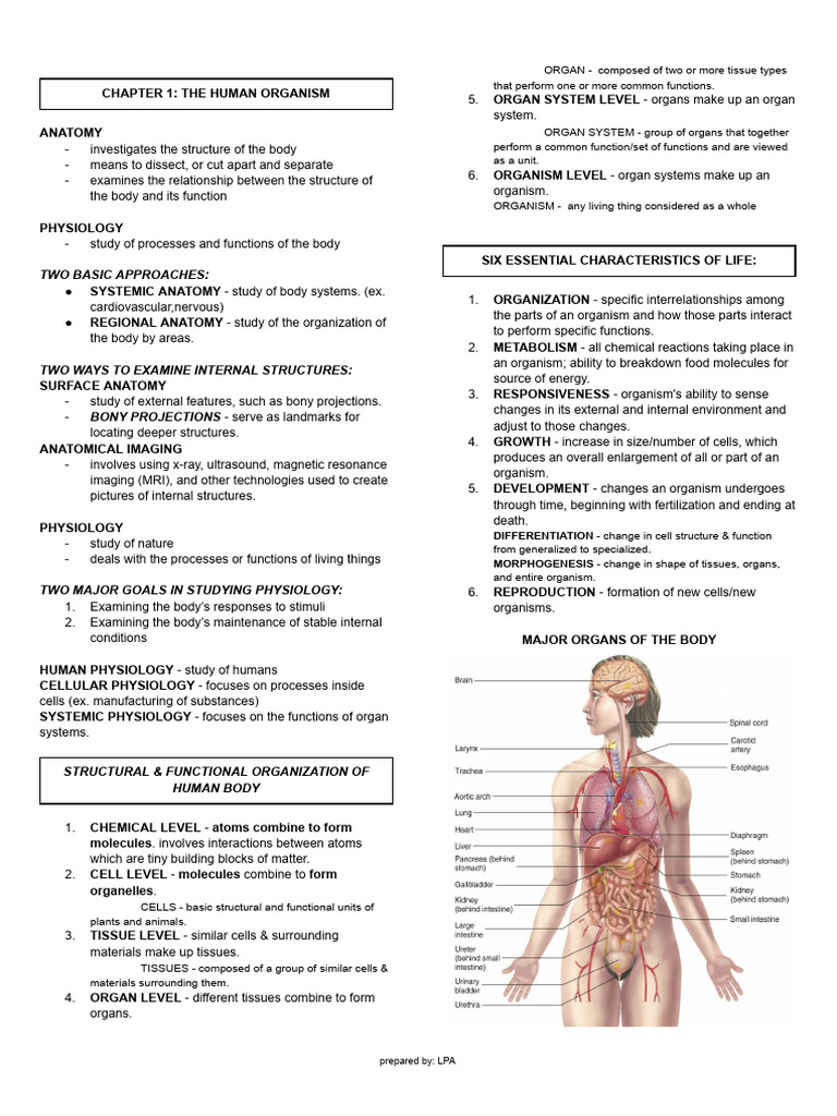 Anaphy Reviewer (1ST Year Midterms) | PDF | Human Body | Chemical Reactions