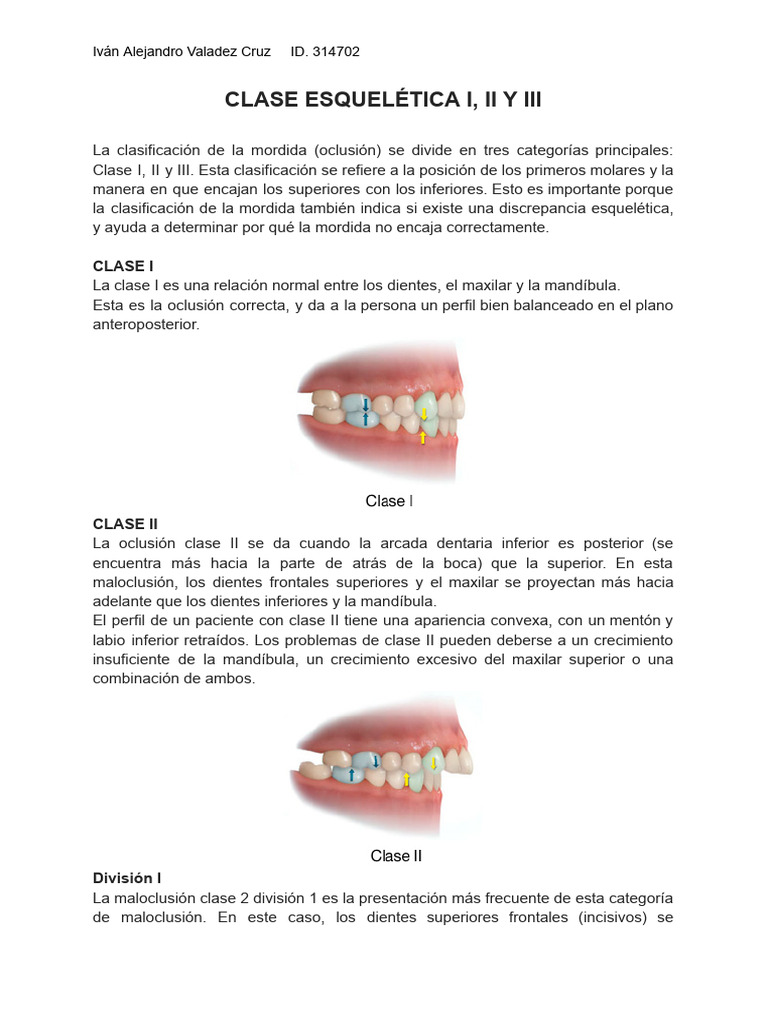 Clase Esquelética I, Ii y Iii | PDF