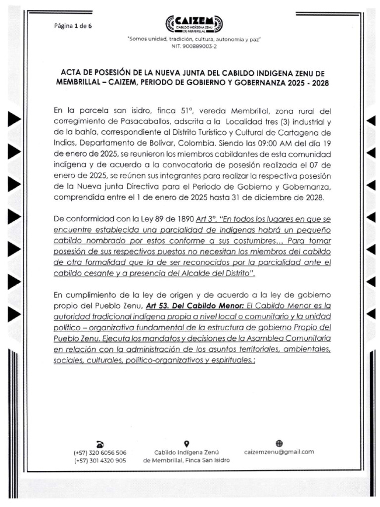 Acta de Posesión | PDF