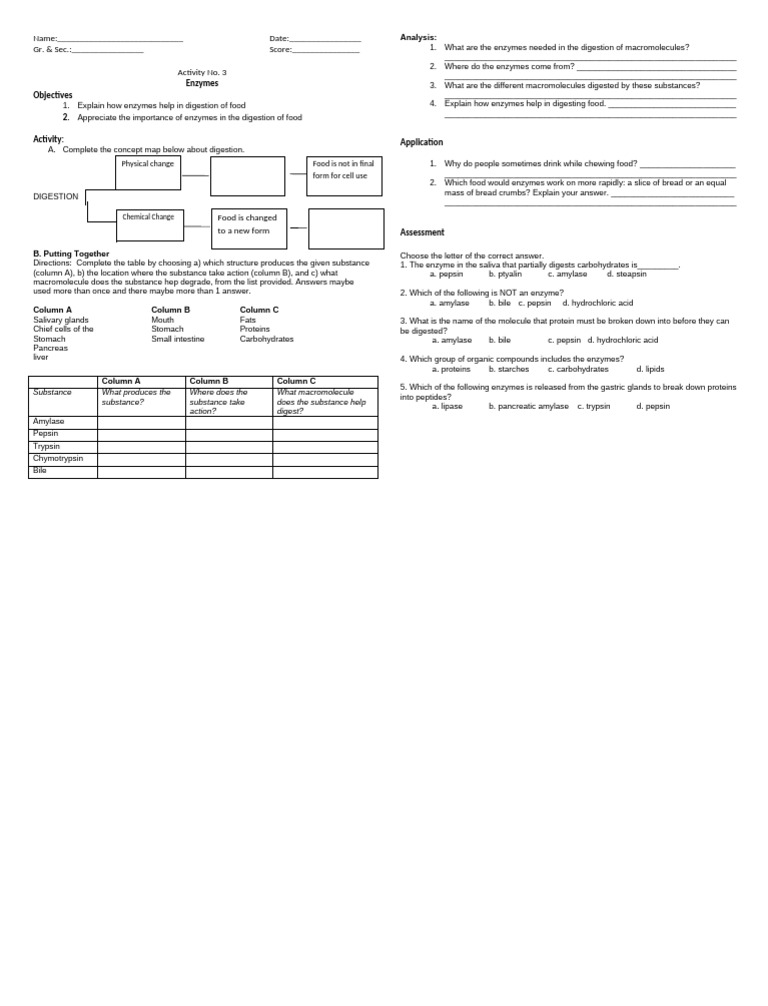 G8 Activity 3 Fourth Grading | PDF | Digestion | Stomach
