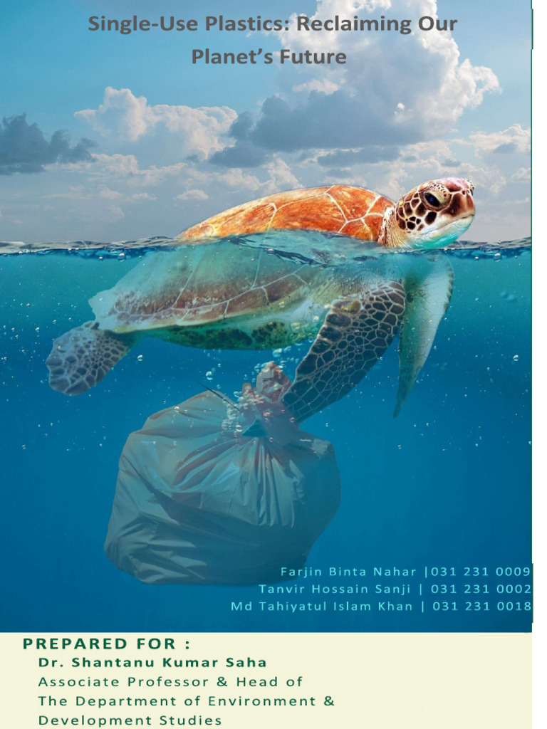 Impacts and Solutions for Single-Use Plastics | PDF | Plastic | Pollution