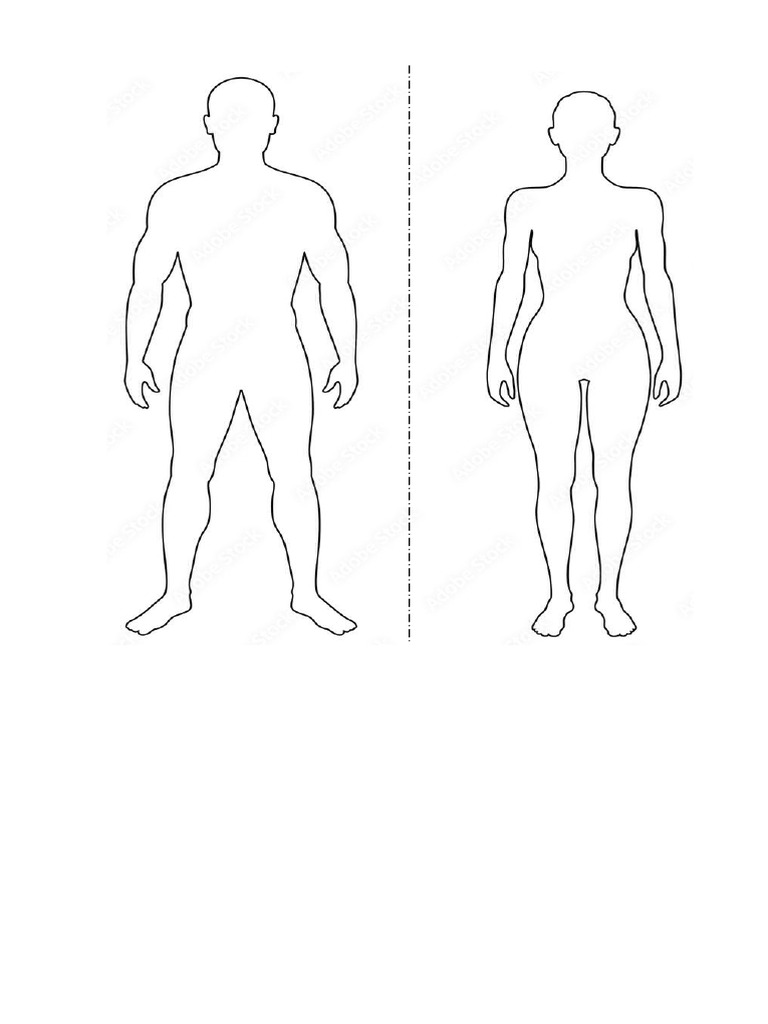 Body Outline | PDF